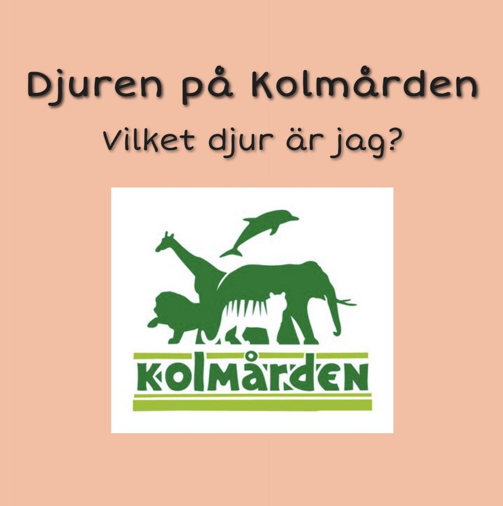 Book-Creator-Vilket-djur-är-jag-framsida - Pedagogverkstan